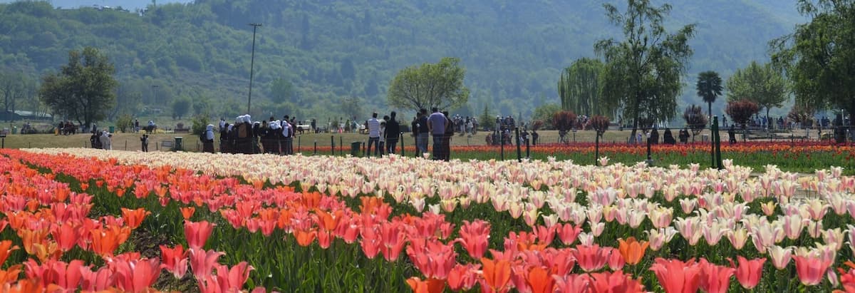 5 Places in India where there are more Flowers than People - Musafir