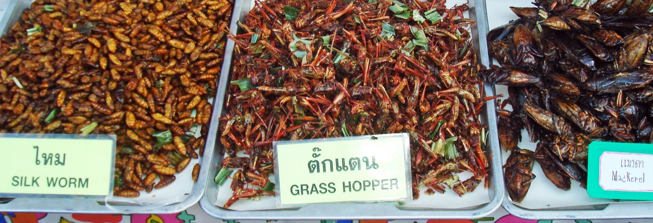 Bizarre Foods Insects Weird Asian Foods: The Wonderful And Weird Foods